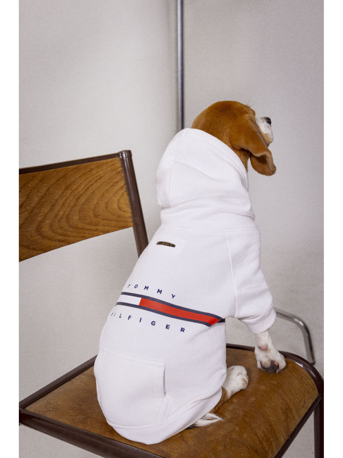 SUÉTER CON CAPUCHA PARA PERROS