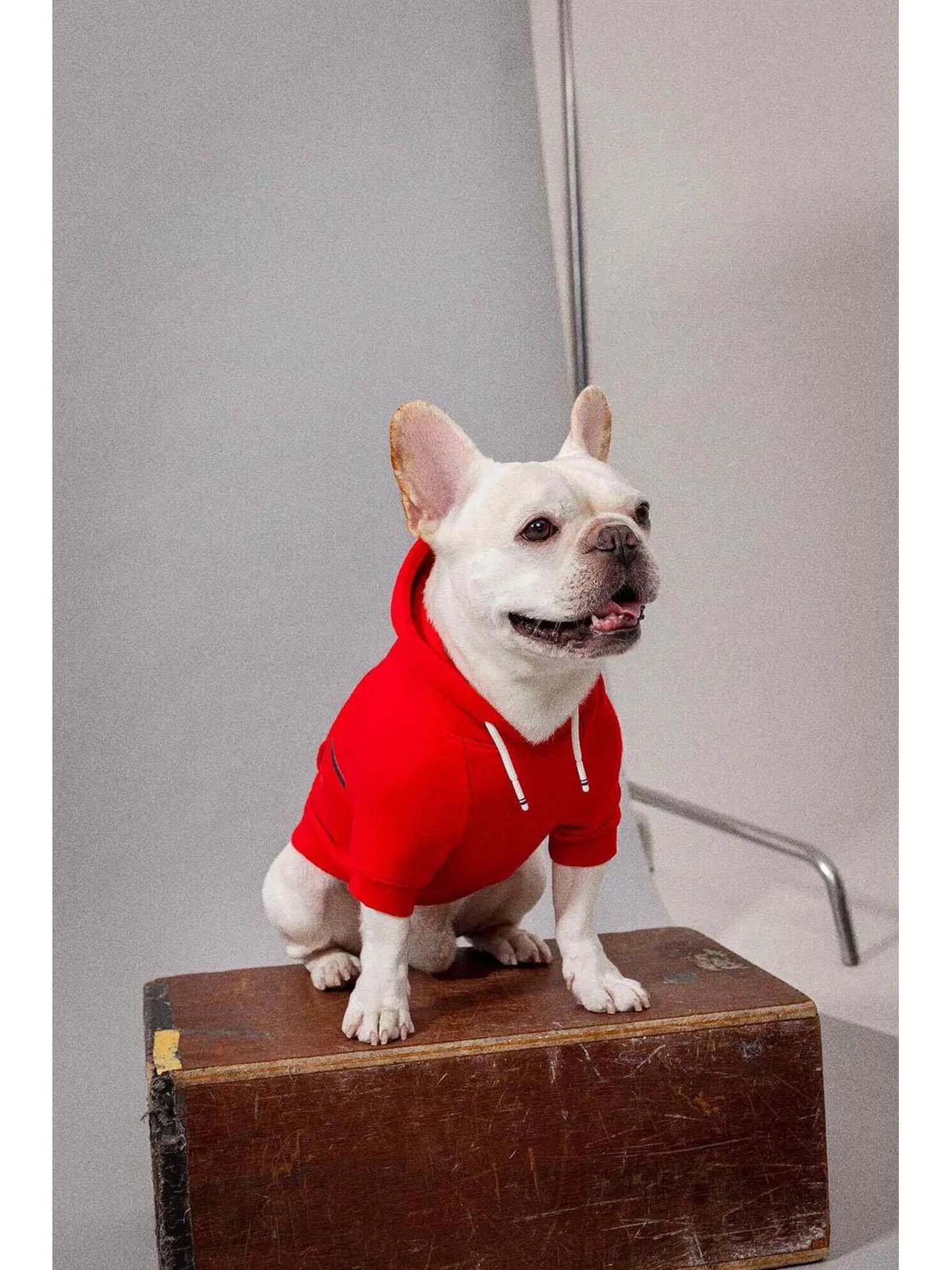 SUÉTER CON CAPUCHA PARA PERROS