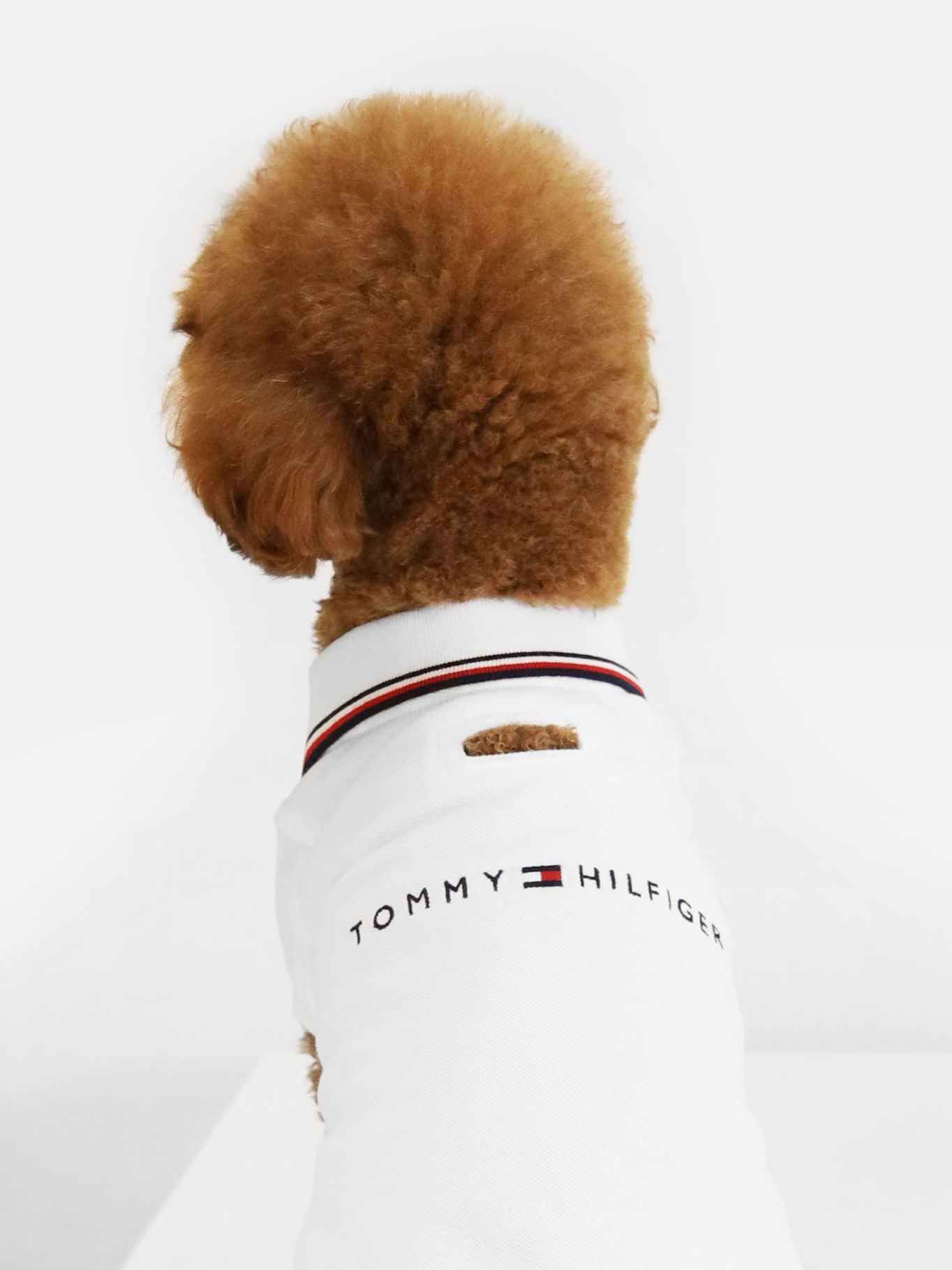 POLO DOG HERITAGE PARA PERROS